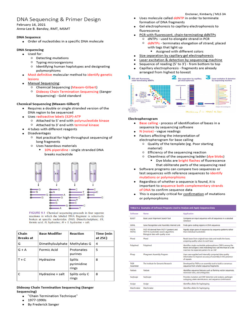 7 DNA Sequencing & Primer Design | PDF | Dna Sequencing | Primer (Molecular Biology)