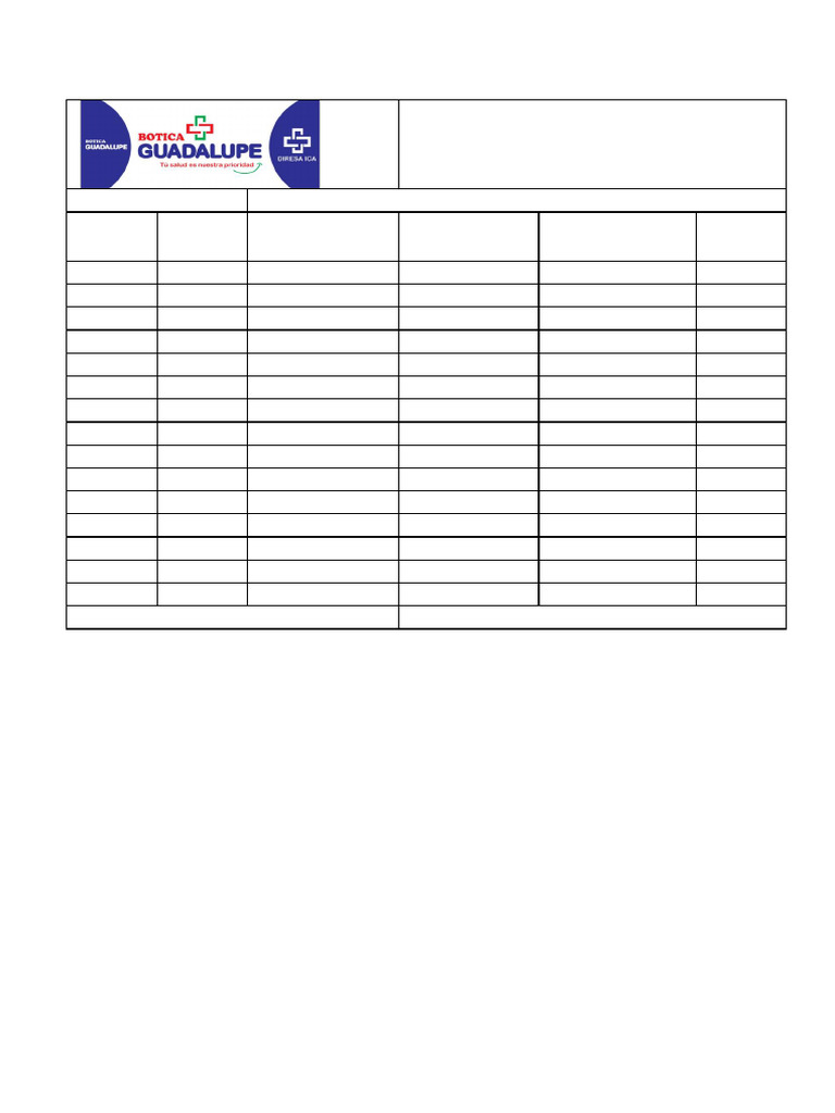 FT 12 Registro de Revisión de Recetas | PDF