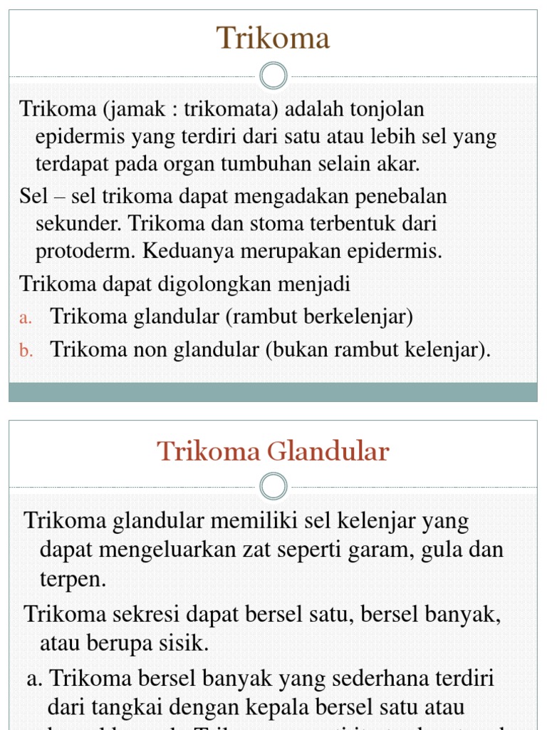 Jenis dan Fungsi Trikoma Tumbuhan | PDF | Fiksi Umum