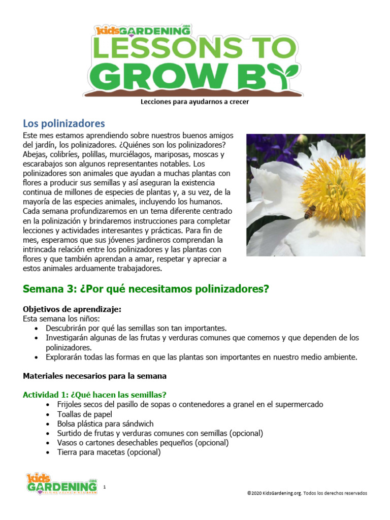 Spanish Pollinators Week 3 Complete Packet | PDF | Fruta | Polinización
