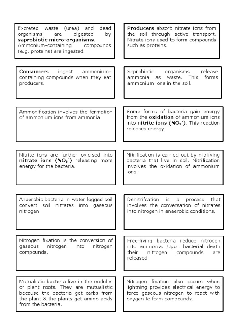 Nitrogen Cycle Cards | PDF