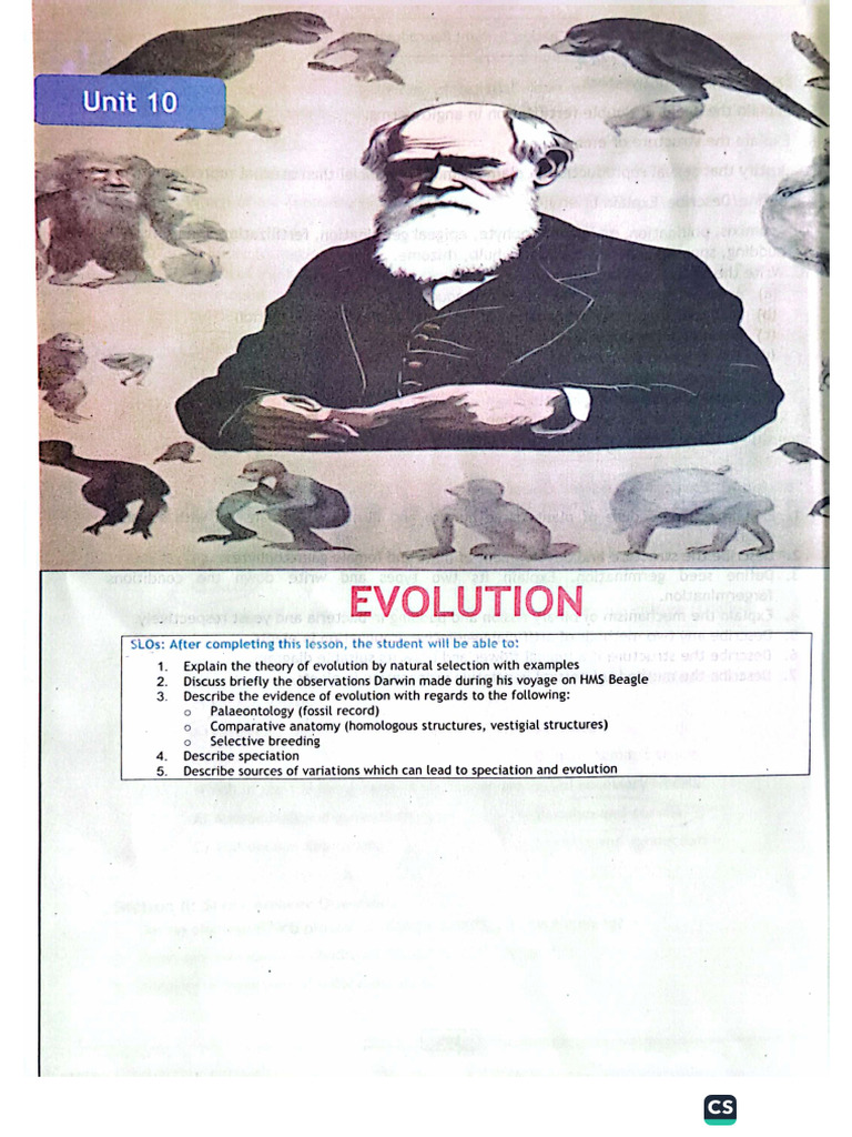 Chapter 10 Evolution | PDF