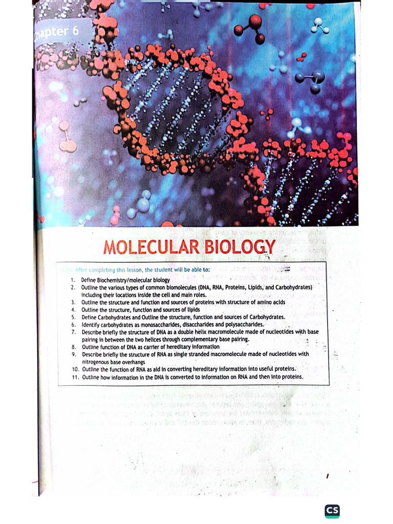 Chapter 6 Biomolecules | PDF
