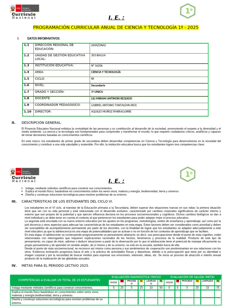 1º Plan Anual Cyt 2025 | PDF | Importar | Aprendizaje