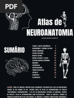 Forames Do Crânio | PDF | Neuroanatomia | Anatomia humana