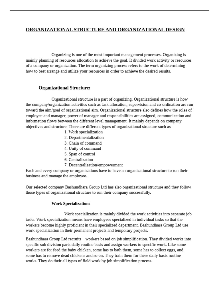 Assignment Bashundhara Group | PDF | Competitive Advantage | Economies