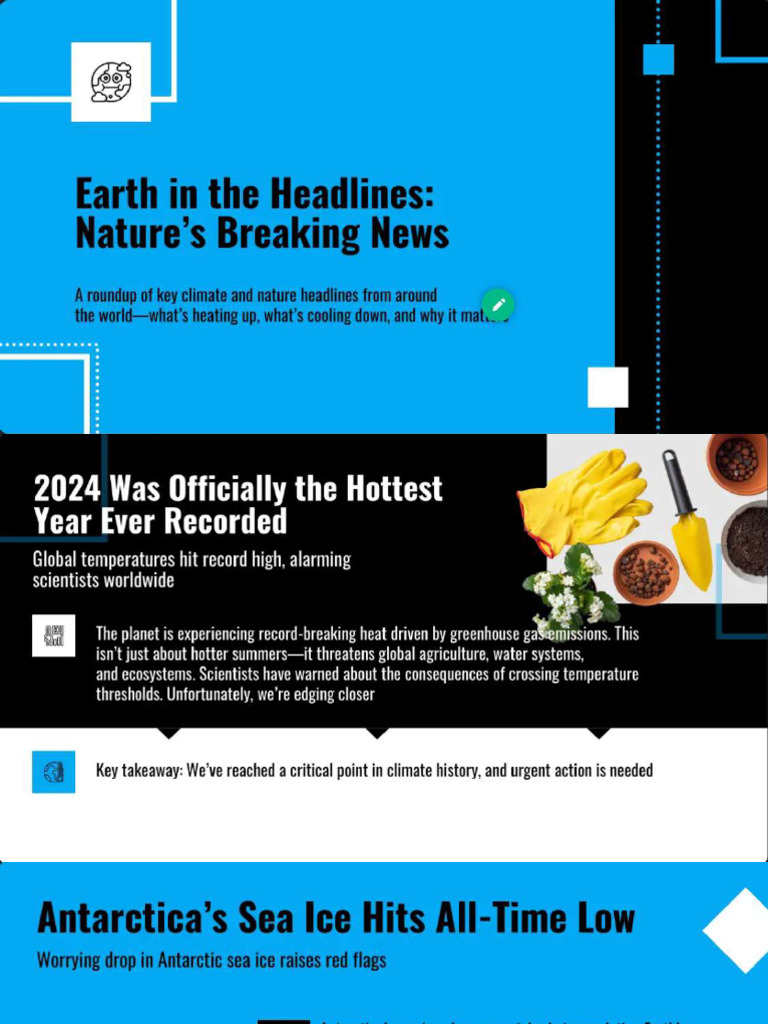 News Flash | PDF