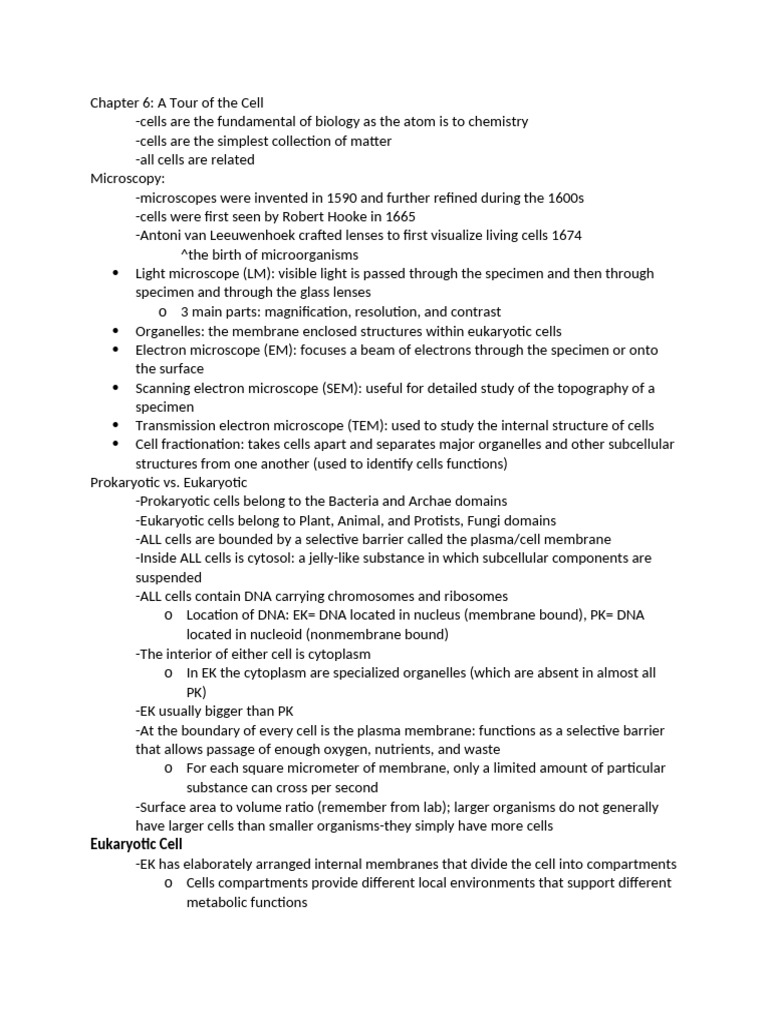 Chapter 6 Tour of The Cell | PDF | Endoplasmic Reticulum | Cell (Biology)