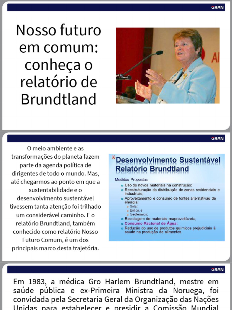 Relatório Brundtland | PDF | Sustentabilidade | Desenvolvimento sustentável