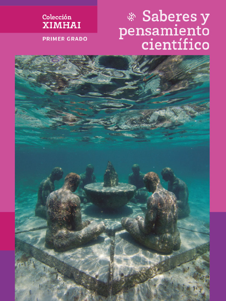 SEC1 Saberes Pensamiento Cientifico SAA 2024 2025fd | PDF