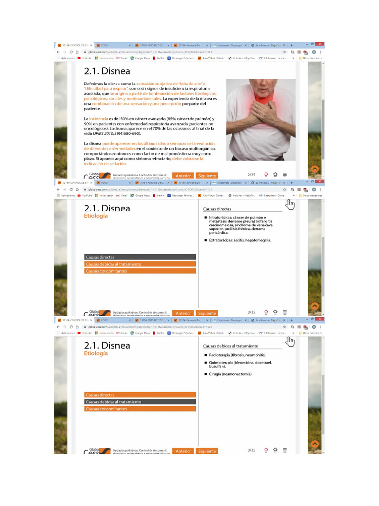 Curso2 Cuidados Intensivos | PDF