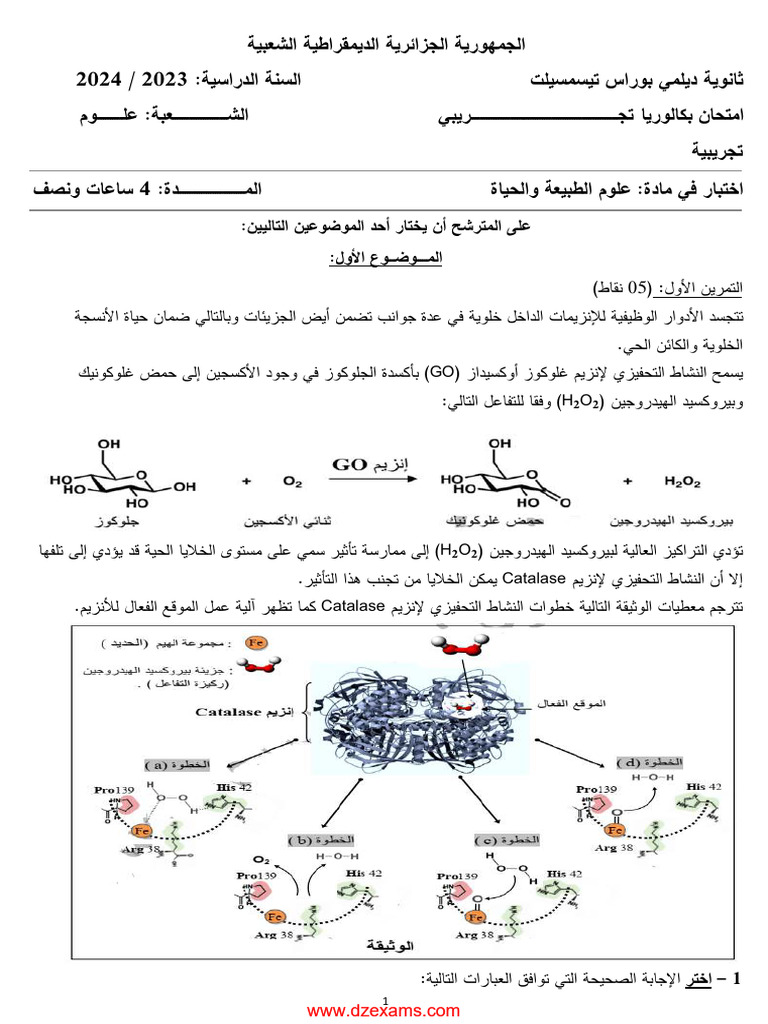 dzexams-3as-sciences-naturelles-1360365 (1) | PDF