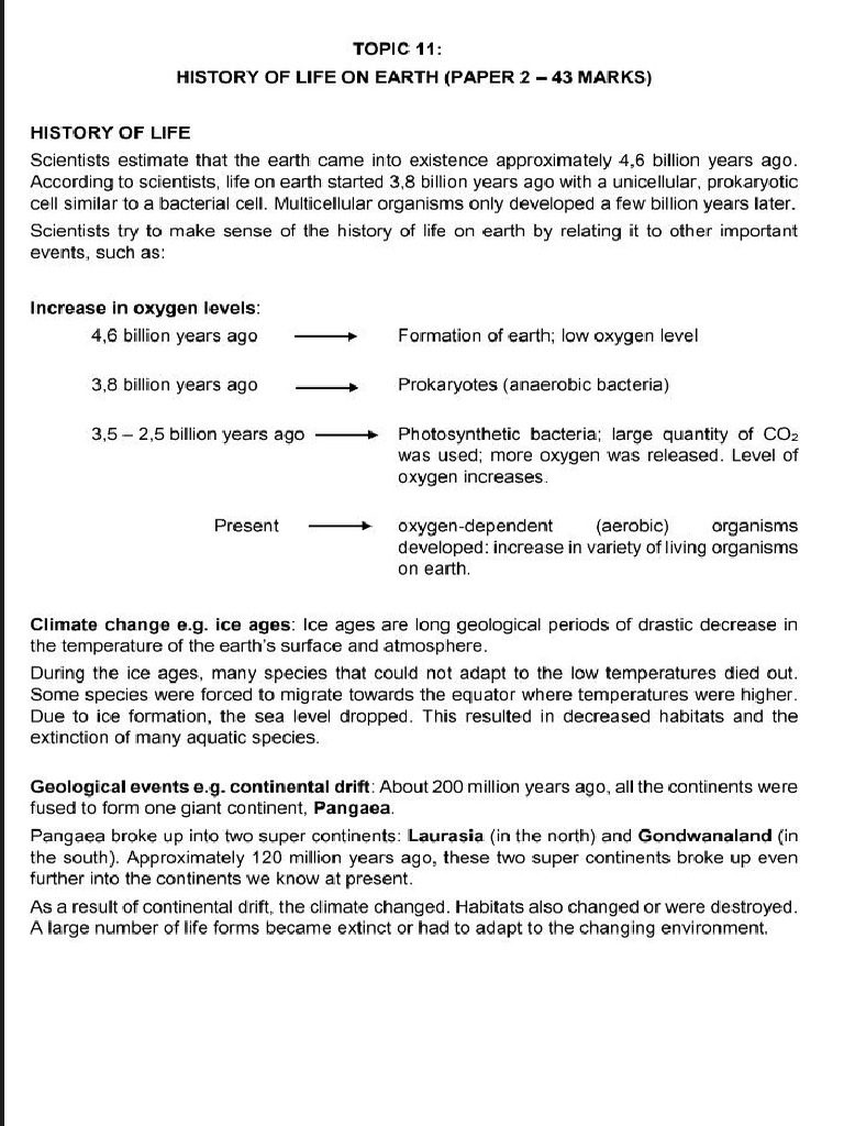 History of Life | PDF