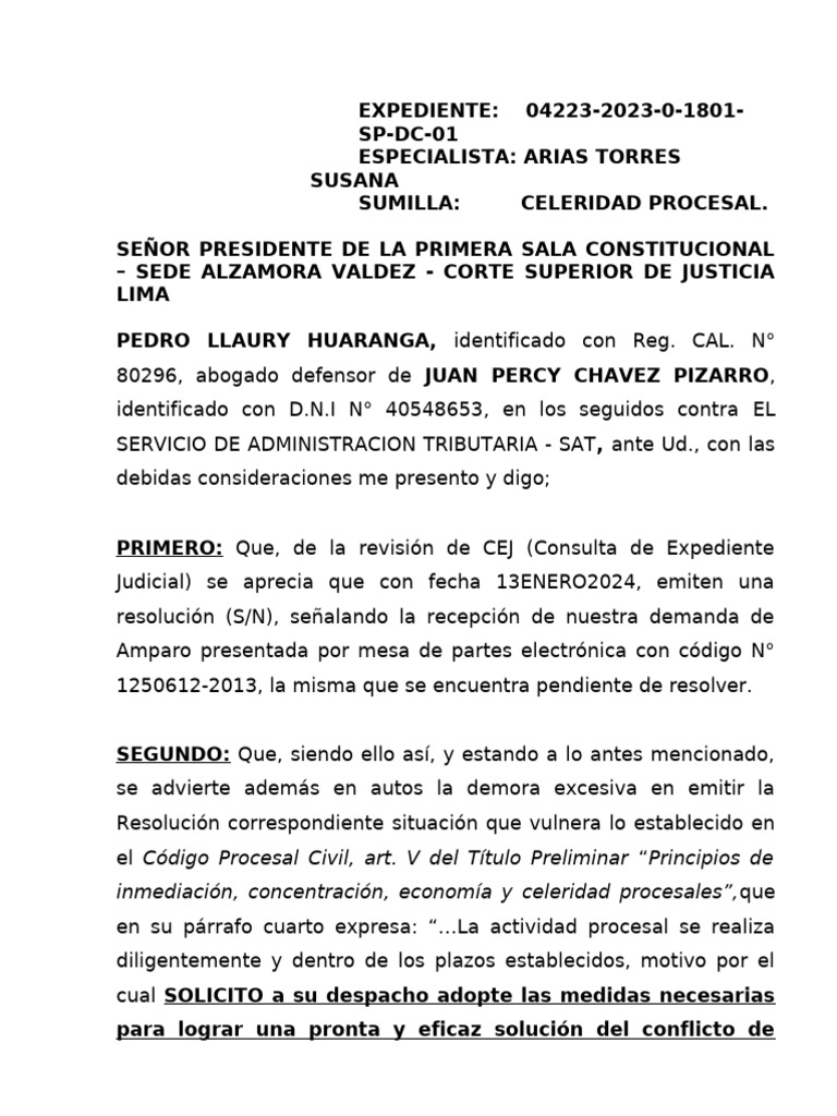 Celeridad Procesal Jpercy - Amparo | PDF