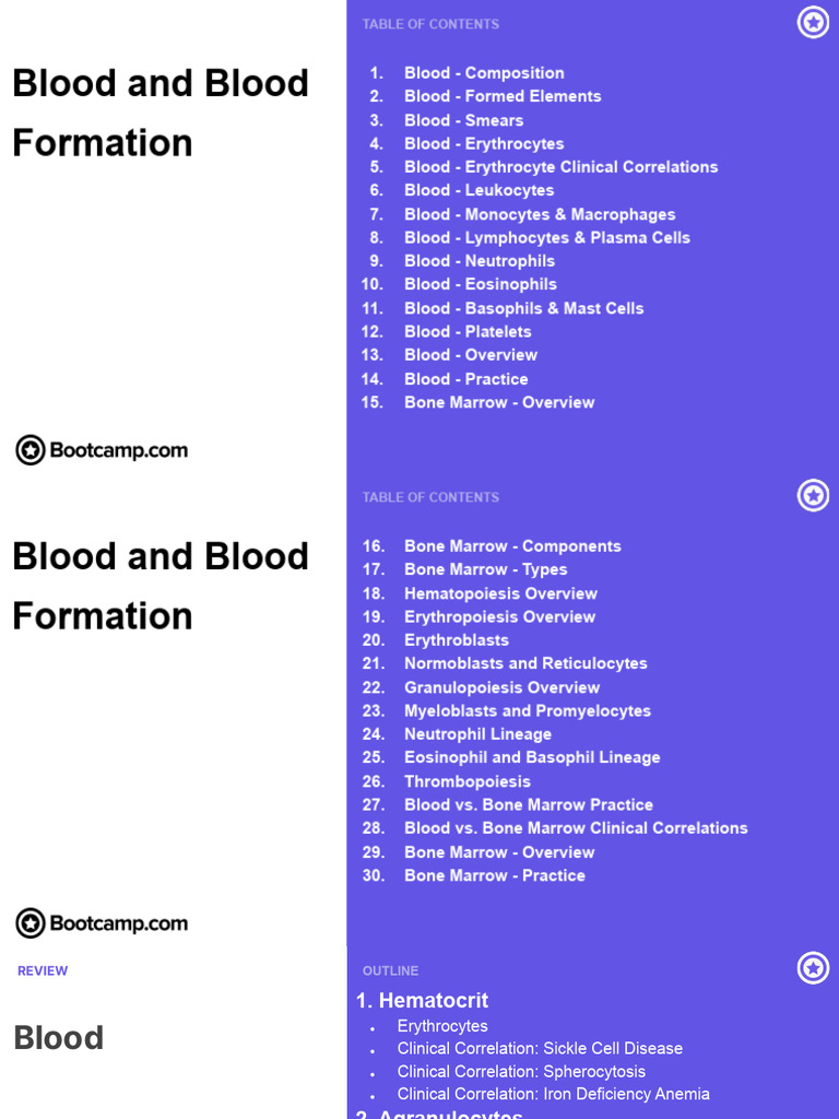 Chapter 10 Blood and Blood Formation Video Course Atf | PDF | White ...