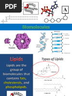 Lipids Ppt Pdf