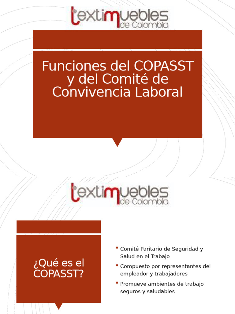 Funciones COPASST Convivencia | PDF
