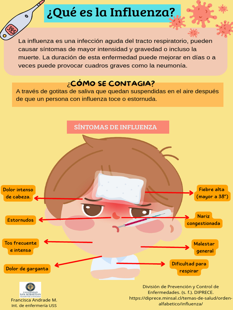 ¿Qué Es La Influenza_250520_151533 | PDF