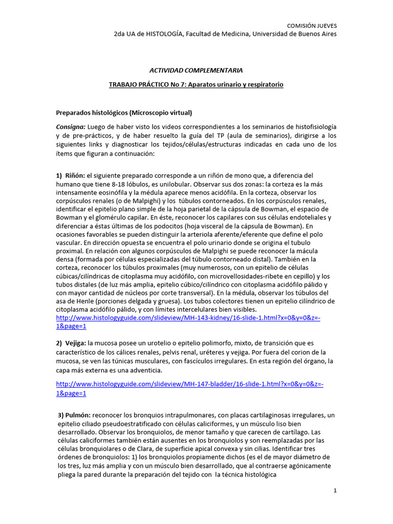 TP7-Ap Urinario y Respiratorio-Actividad MV-1 | PDF | Riñón | Cartílago