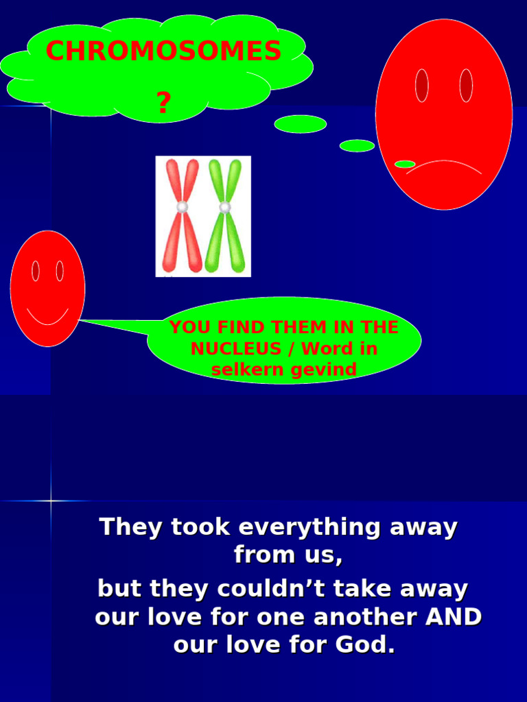 Chromosomes, Meiosis, and The Production of | PDF | Meiosis | Mitosis