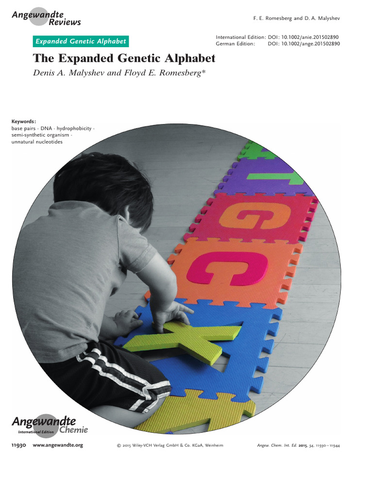 The Expanded Genetic Alphabet | PDF | Base Pair | Biochemistry