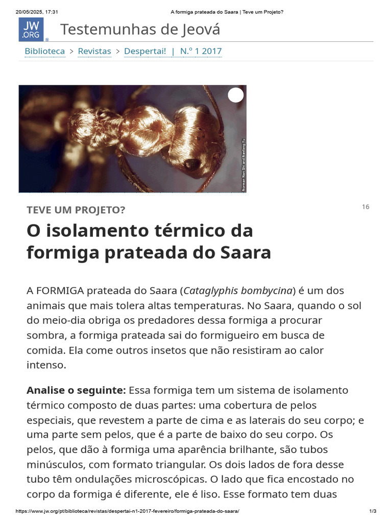 A formiga prateada do Saara _ Teve um Projeto_ | PDF | Formiga | Calor