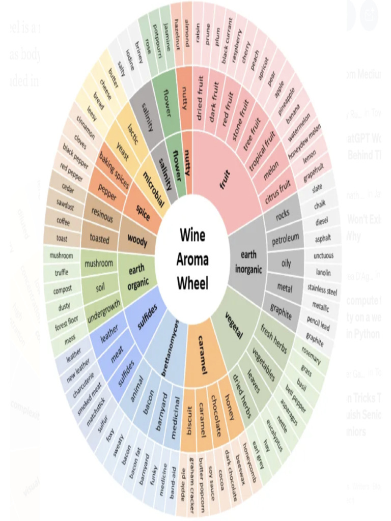 Wine Aroma Wheel | PDF