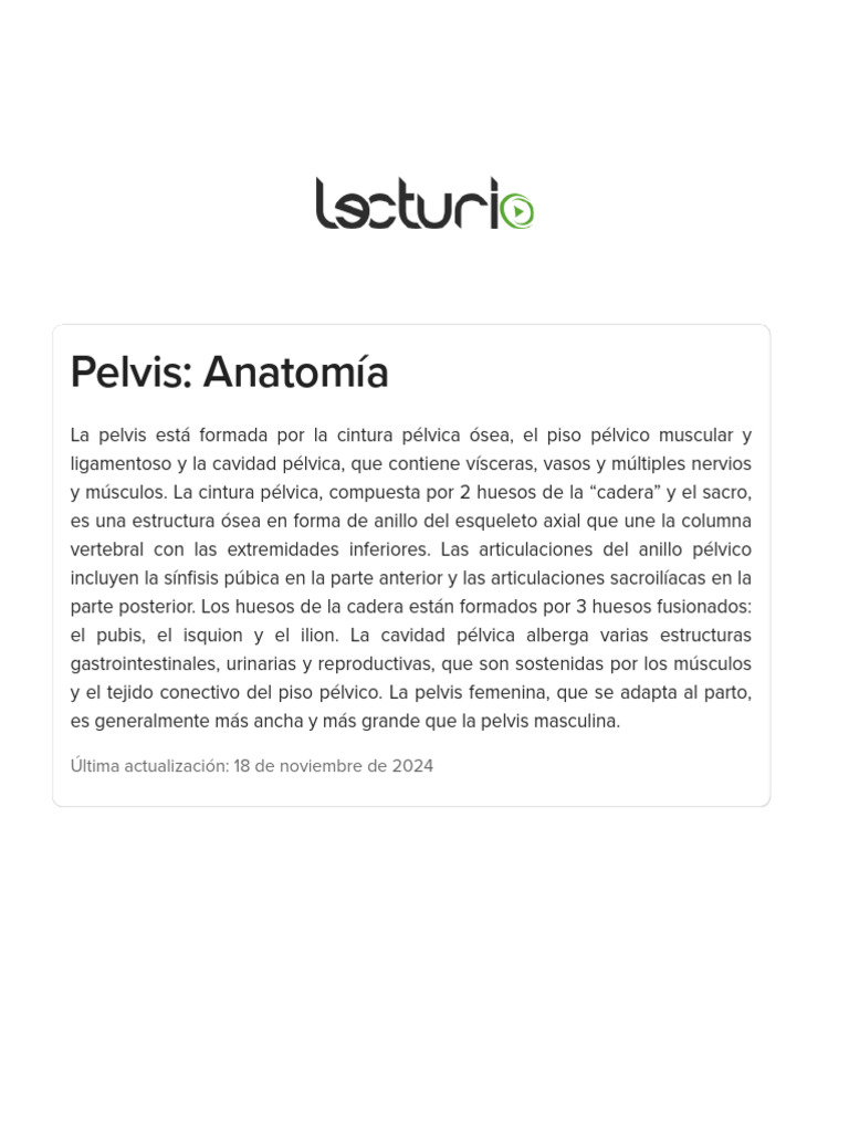 Anatomía de la Pelvis: Estructura y Función | PDF | Pelvis | Articulación