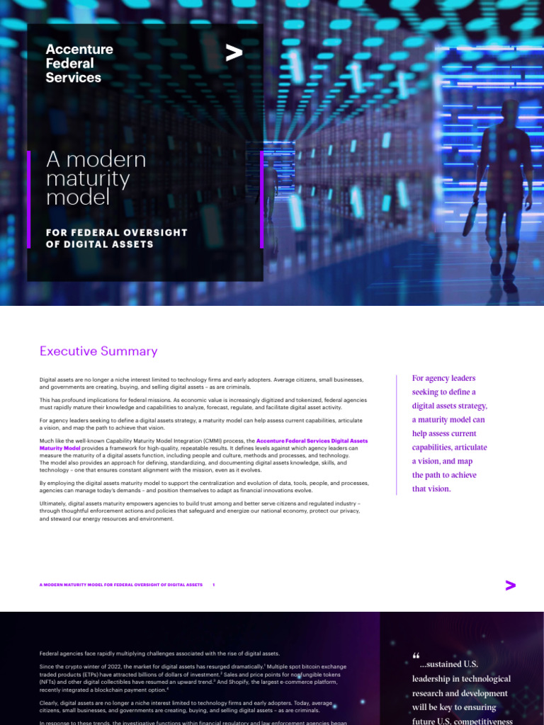 Accenture Federal Services A Modern Maturity Model For Federal Oversight of Digital Assets | PDF ...