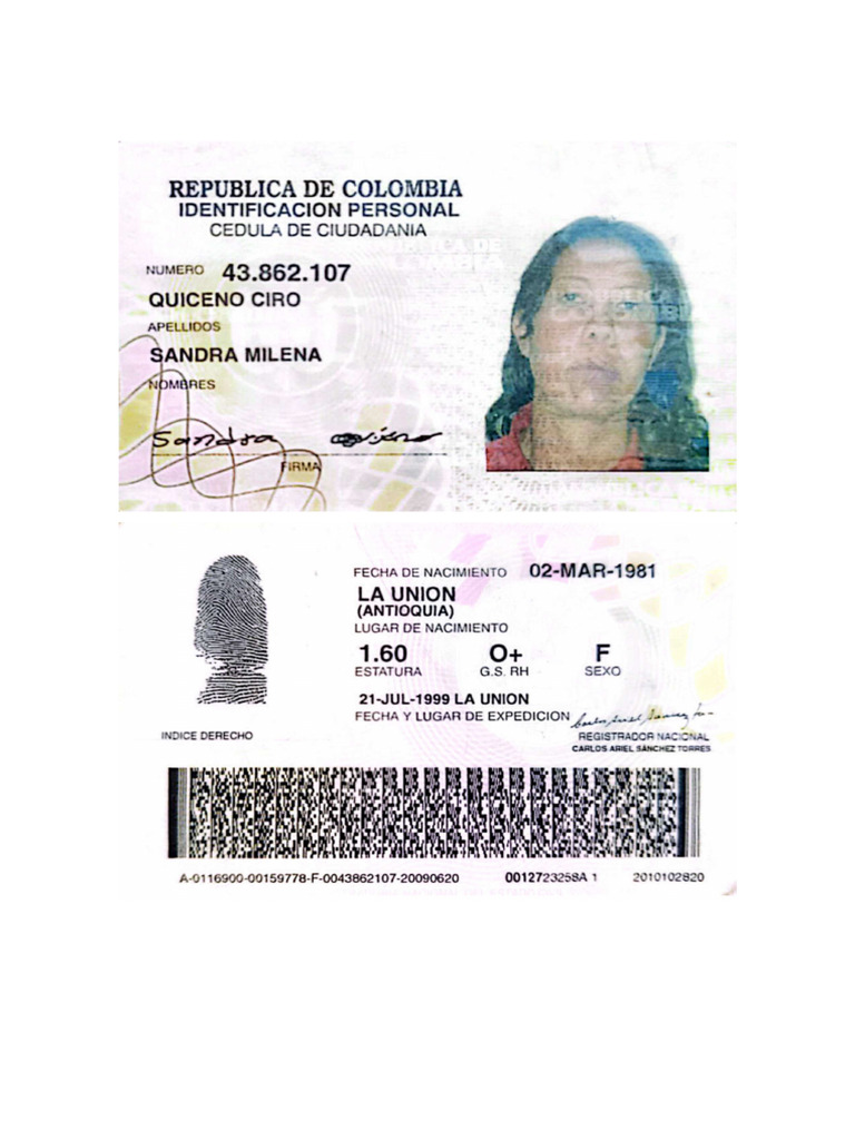 CC Sandra | PDF