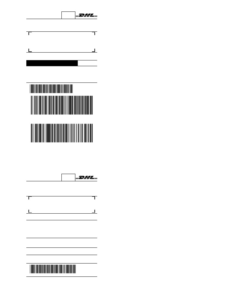 DHL Express Domestic Shipment Document | PDF