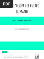 LOCALIZACI+ôN DE ESTRUCTURAS ANAT+ôMICAS. Cavidades Corporales. | PDF | Abdomen | Tórax