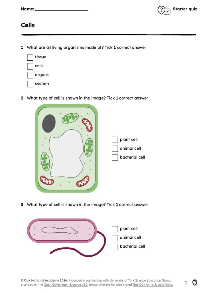Starter Quiz Questions | PDF