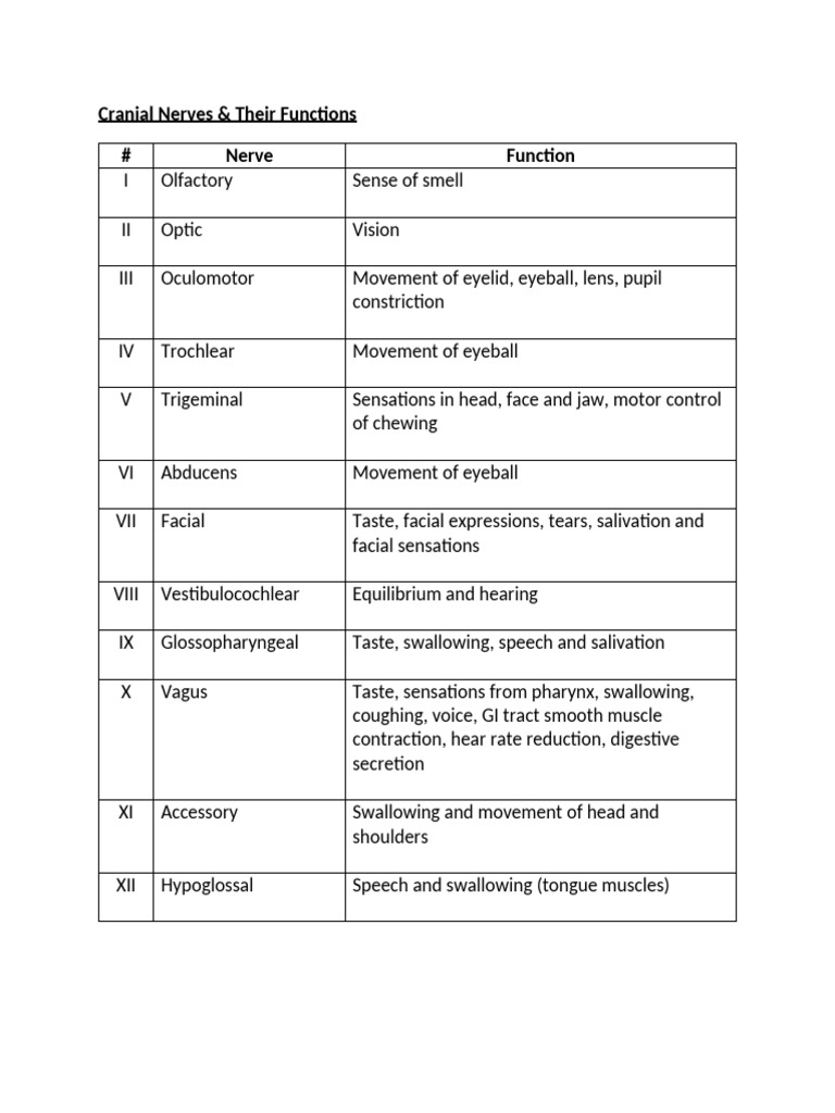 Cranial Nerves Handout | PDF