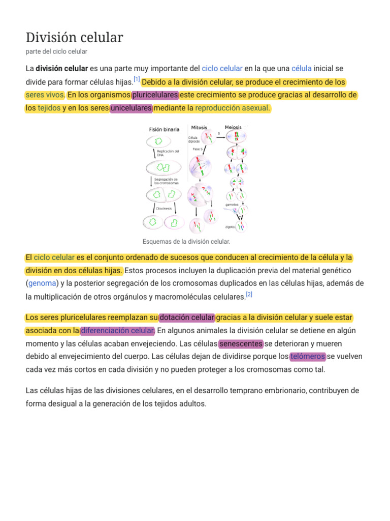 División Celular - Wikipedia, La Enciclopedia Libre | PDF | Mitosis ...
