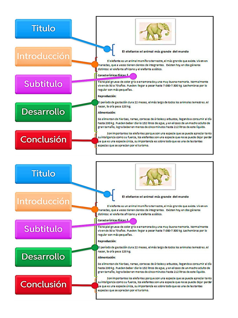 Estructura Artículo Informativo | PDF