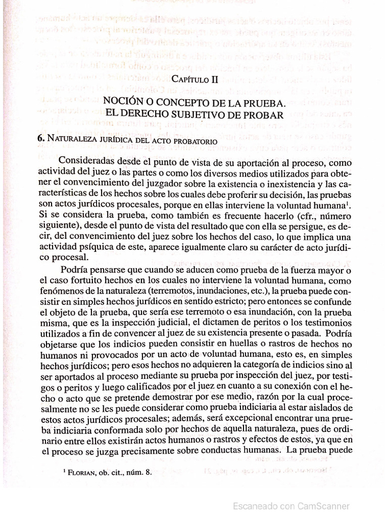 Noción o Concepto de La Prueba | PDF