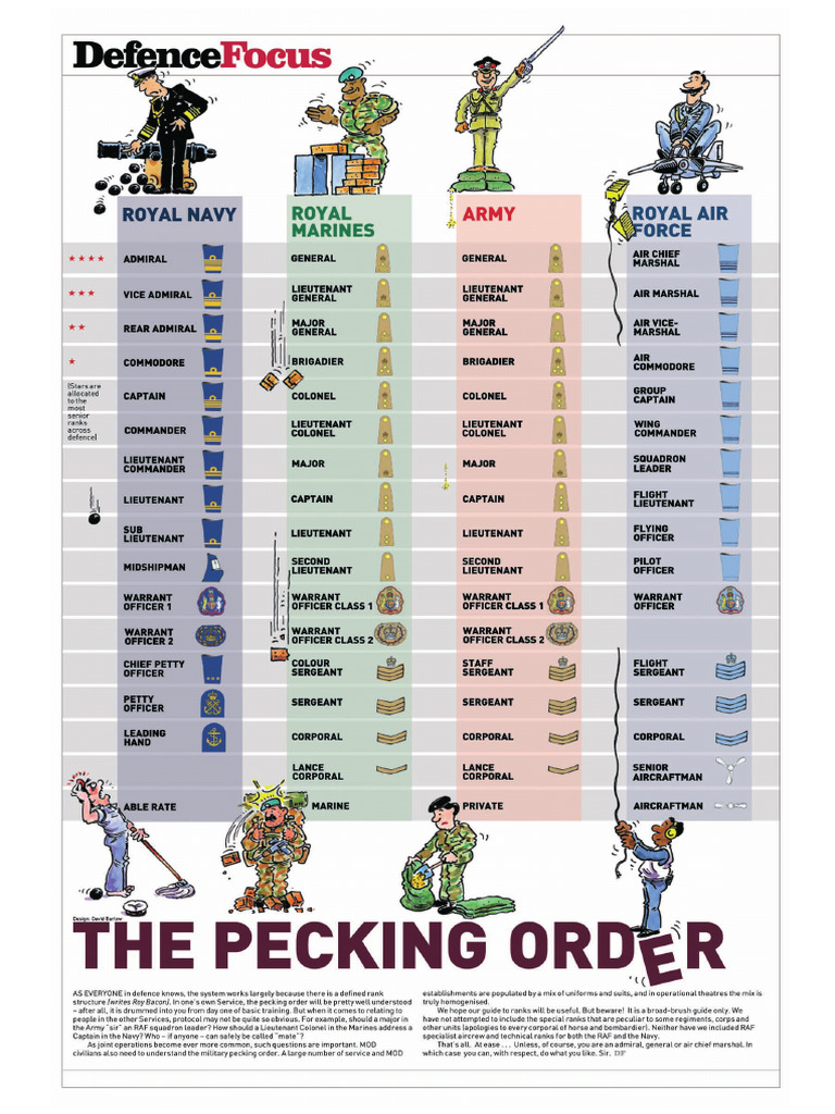 20101014145X Pecking Order CompU | PDF