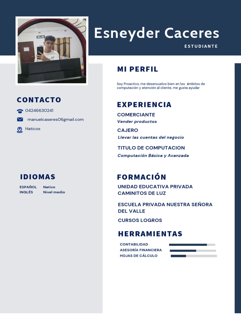 Currículum Vitae Asesor Financiero Profesional Corporativo Azul y Gris | PDF