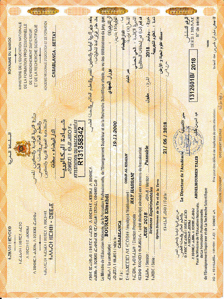 IMG_20230307_0010 | PDF