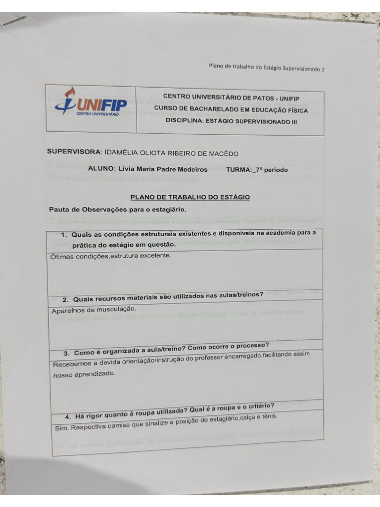 Plano de Trabalho 1 | PDF