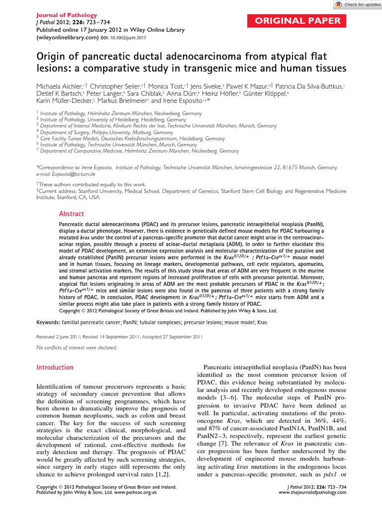 The Journal of Pathology - 2011 - Aichler - Origin of Pancreatic Ductal ...