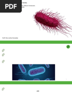 Mapas Mentais Microbio | PDF