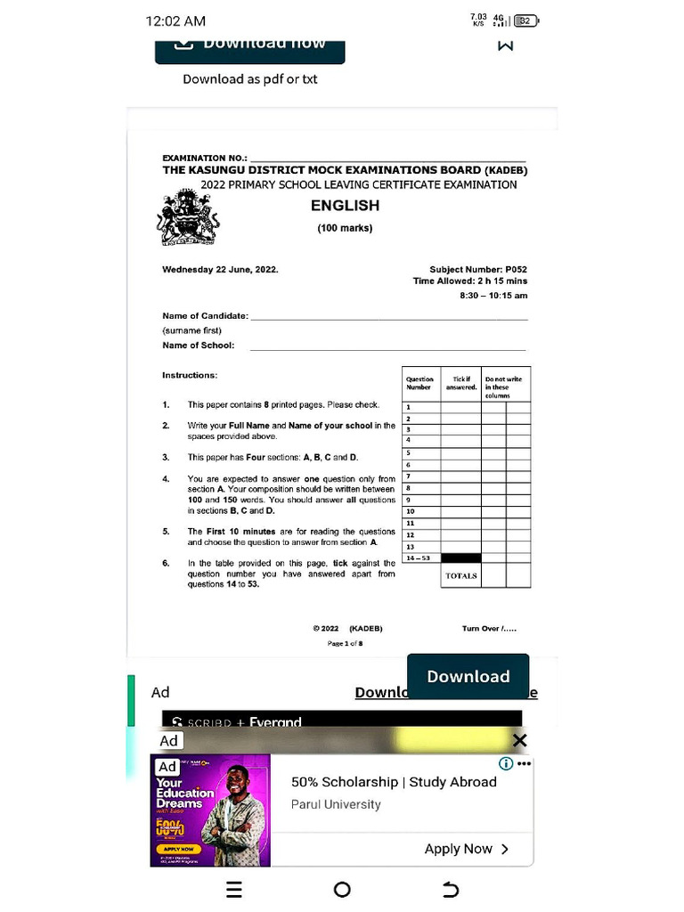 Primary School Papers | PDF