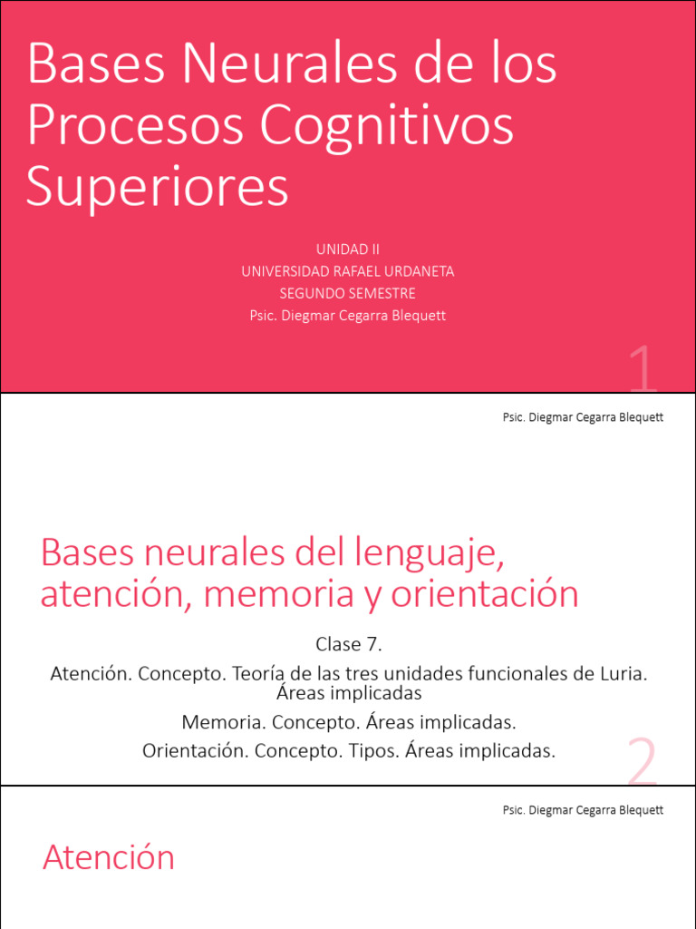 UNIDAD II Bases Neurales de la cognición. T3 y T4 | PDF | Gusto ...