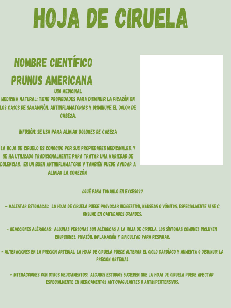 Logo Vivero Plantas Verde - 20250228 - 084811 - 0000 | PDF