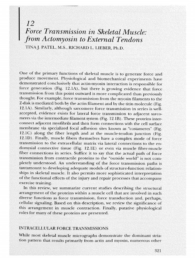 12 Force Transmission in Skeletal Muscle From.14 | PDF