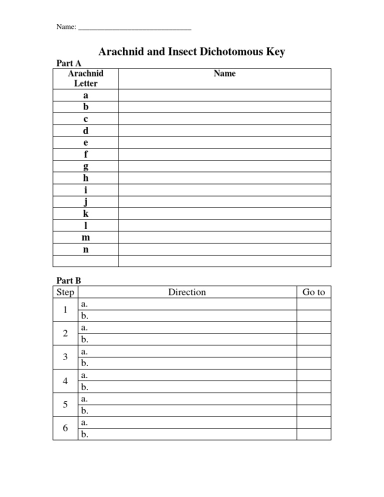 Arachnid and Insect Dichotomous Key | PDF