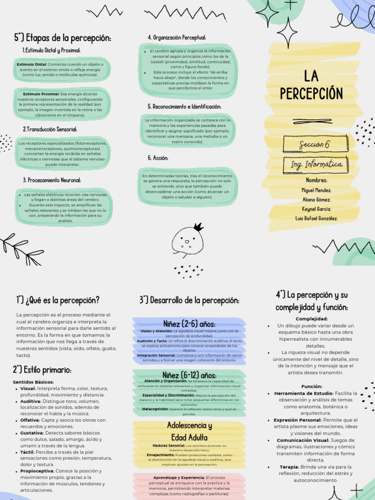 La Percepción | PDF | Percepción | Sentidos
