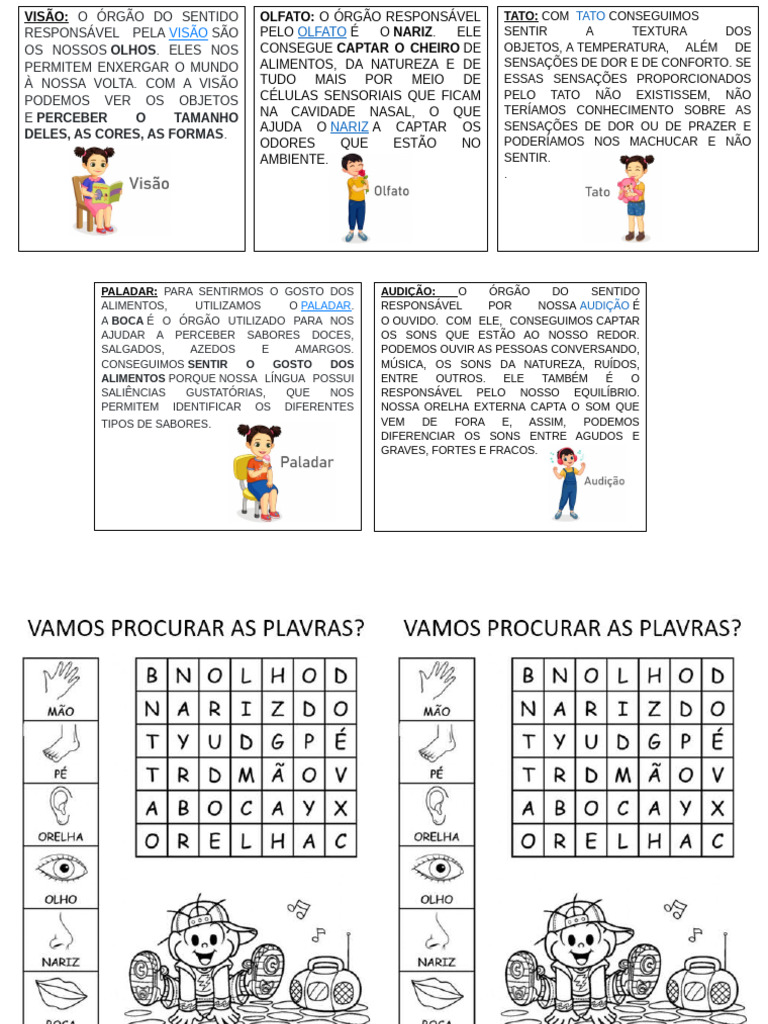 Explicação 5 Sentidos Ciencias | PDF